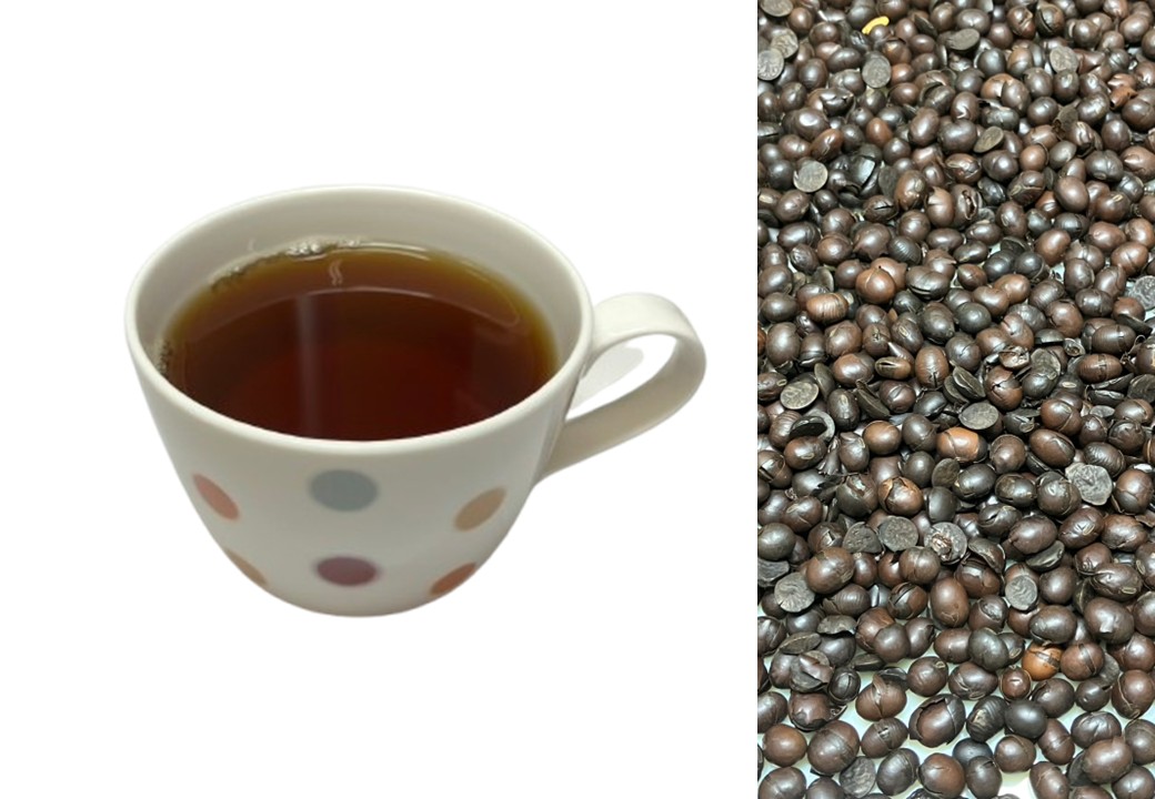 焙煎技術で広がる大豆コーヒーの可能性と開発ポイント | KGSコラム | 京都グレインシステム株式会社